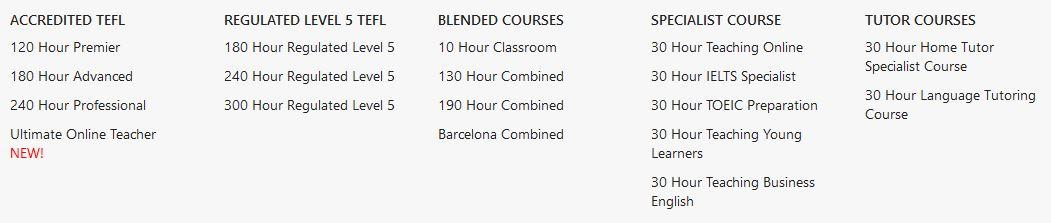 TEFL Course in Ireland - Business English Success